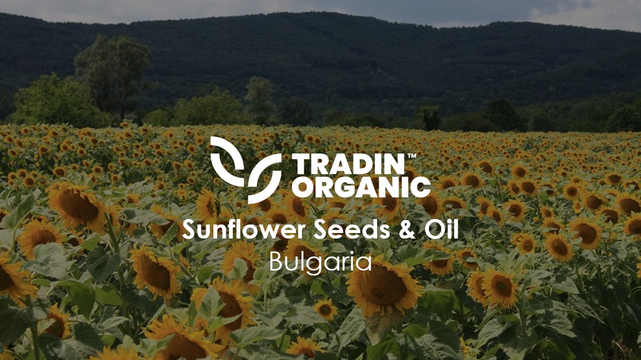 Tradin Organic - Measurable Impact at Source: Sunflower Products from ...